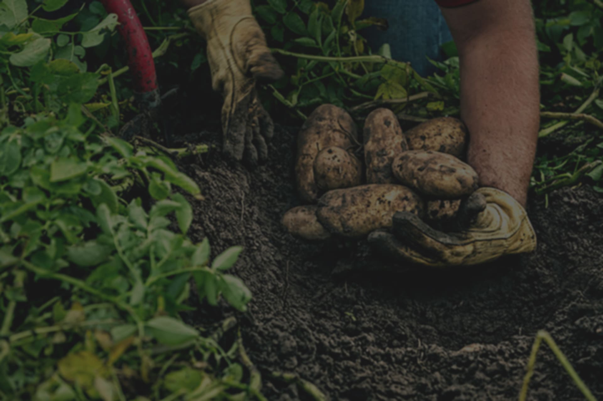 Financing Help & Information